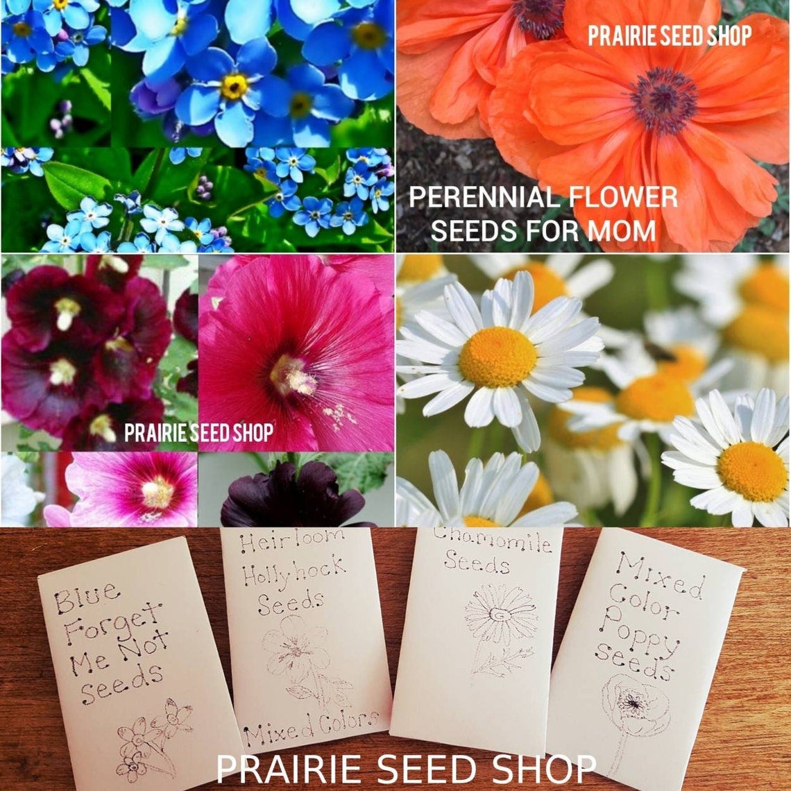 Birthday Present Perennial Flower Seeds Gift Set, 4 Types Cold Hardy ...