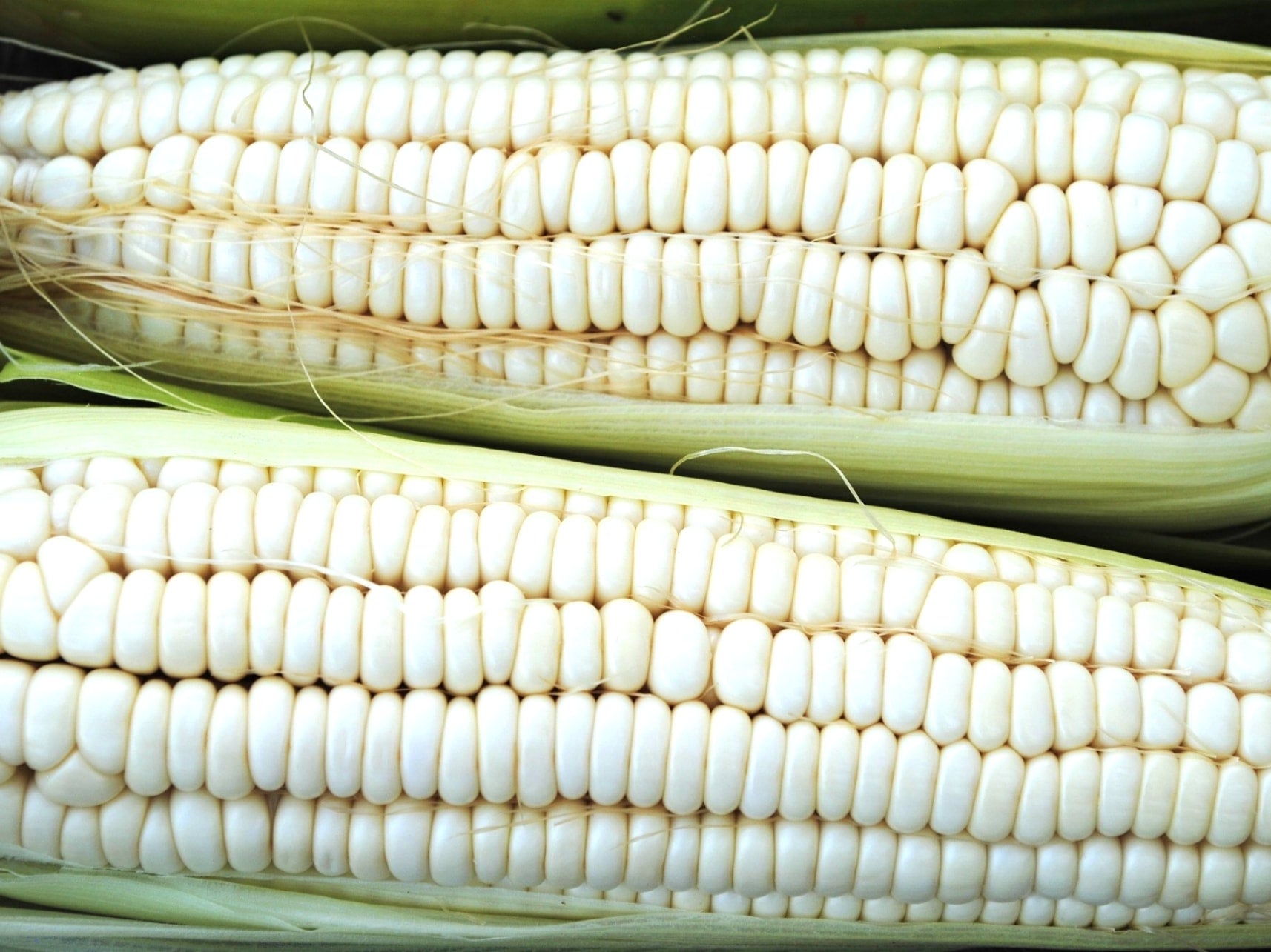 Extra Sweet White Corn Seeds Canada, White Corn On The Cob Seeds, Rare ...