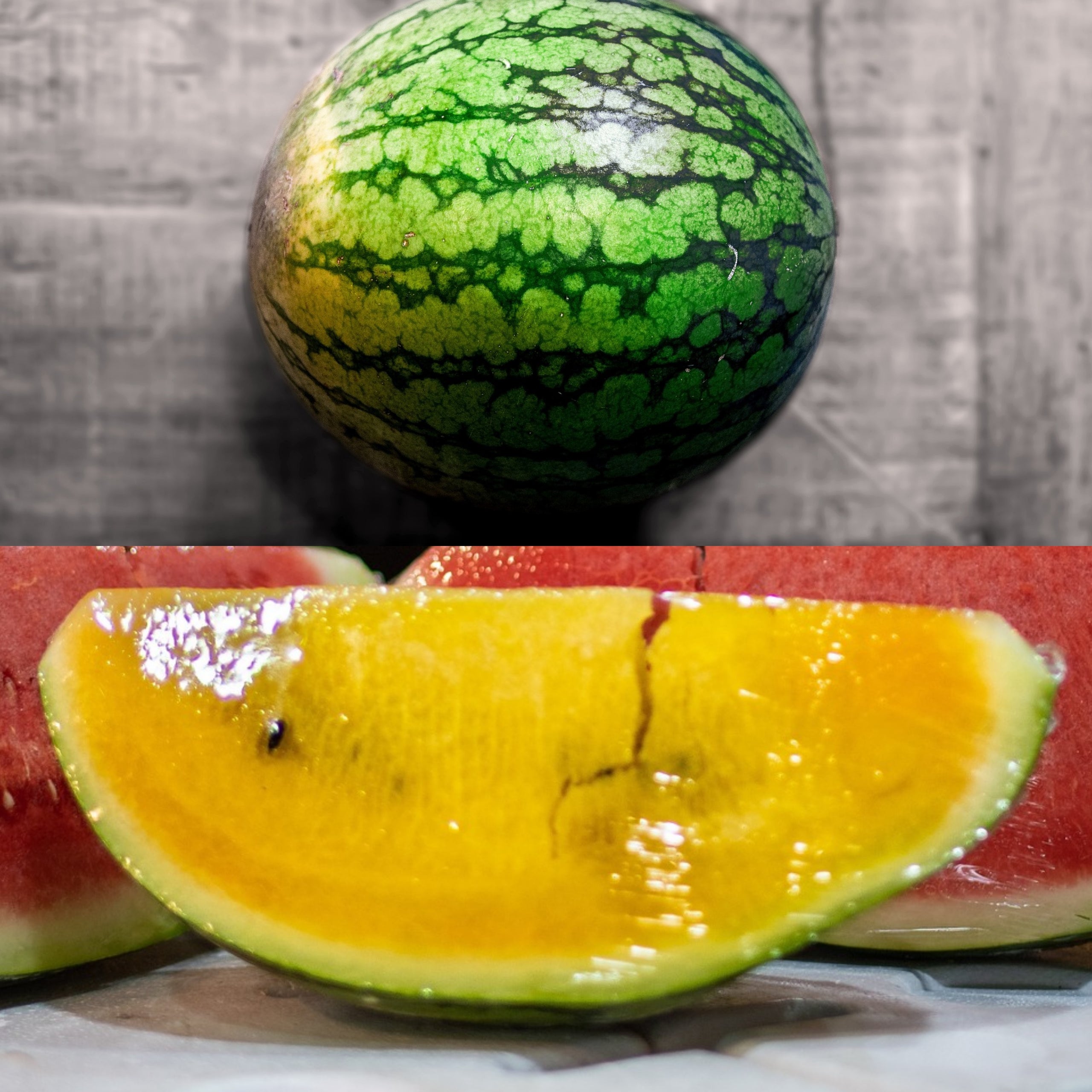 RARE Mini Yellow Watermelon Seeds Canada, Small Golden Watermelon ...