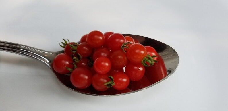 RARE Spoon Tomato Seeds Canada, Tiny Tomato, Small Red Tomato Plant ...