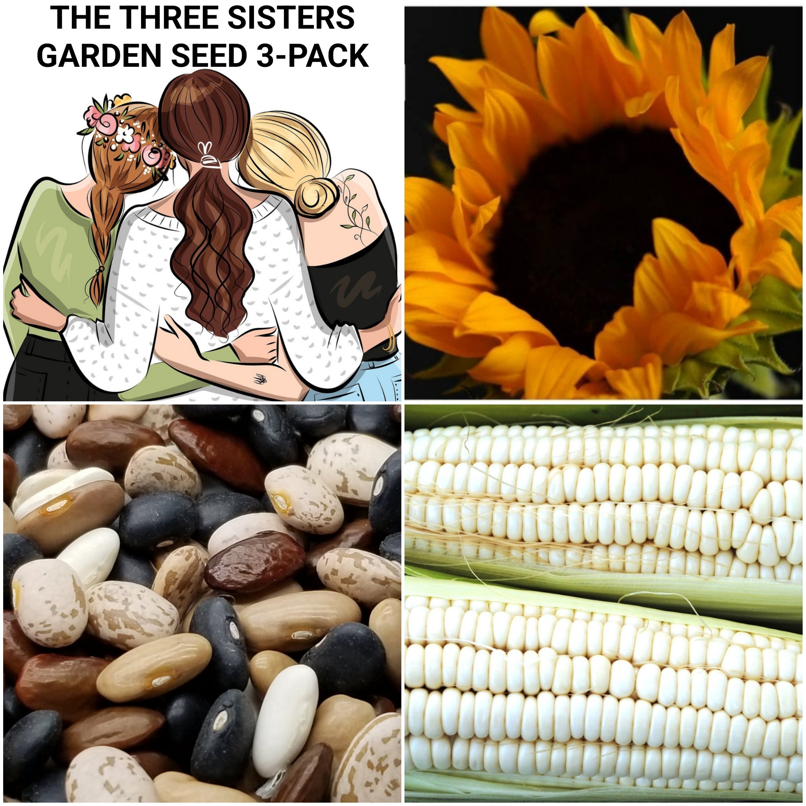 The 3 Sisters Garden Seed 3-Pack, Symbiotic Planting, Vegetable Garden ...