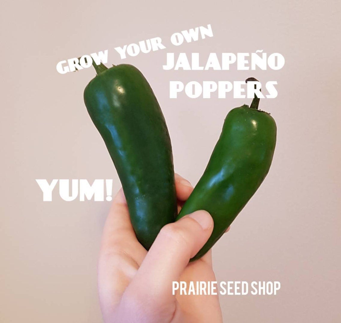 Green Jalapeno Pepper Vegetable Seeds, Grow Your Own Jalapeño Poppers ...